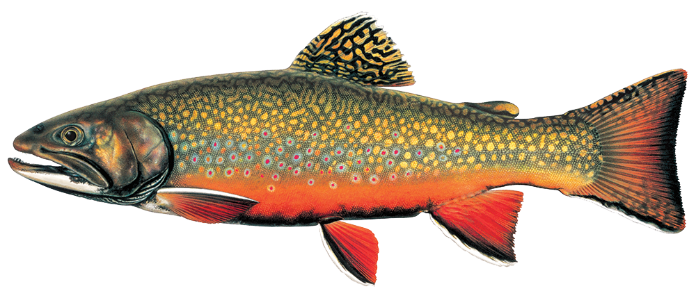 Wisconsin | Trout Unlimited Priority Waters